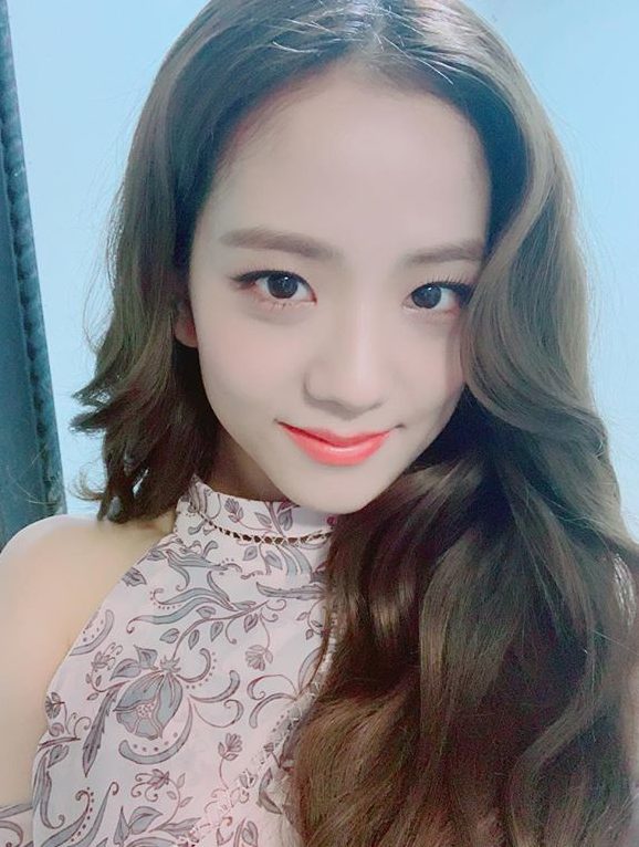 Jisoo (Blackpink member) family in detail: parents and siblings ...